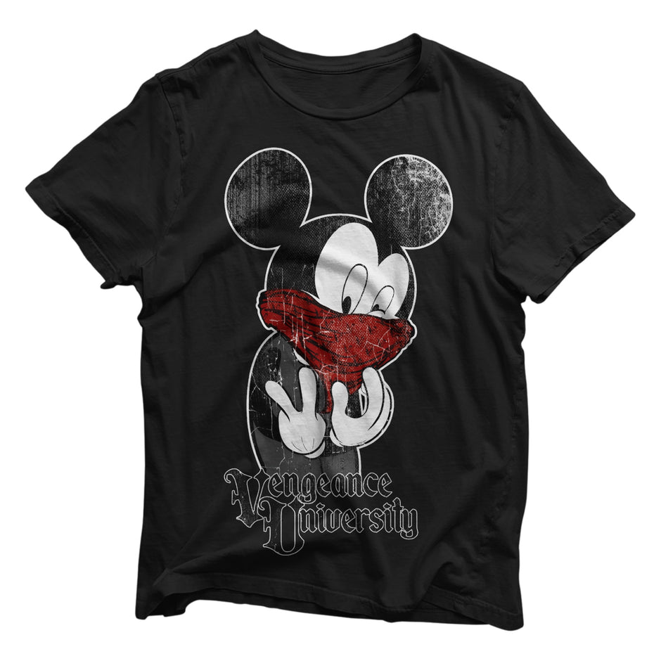 VNGNZ – Vengeance University